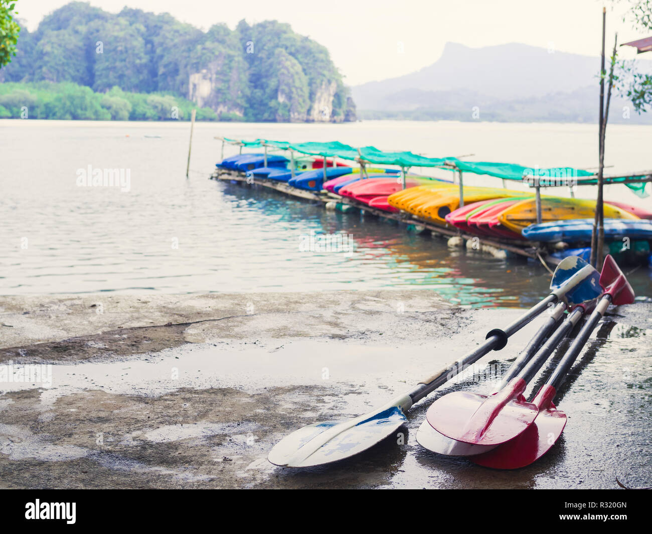 Kayak paddles on beach and colorful fiberglass kayaks in outdoor ...