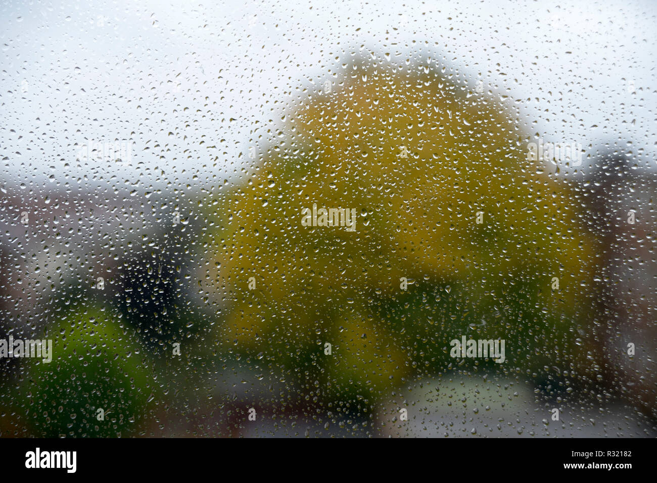 Rain drops on window, with tree Stock Photo - Alamy