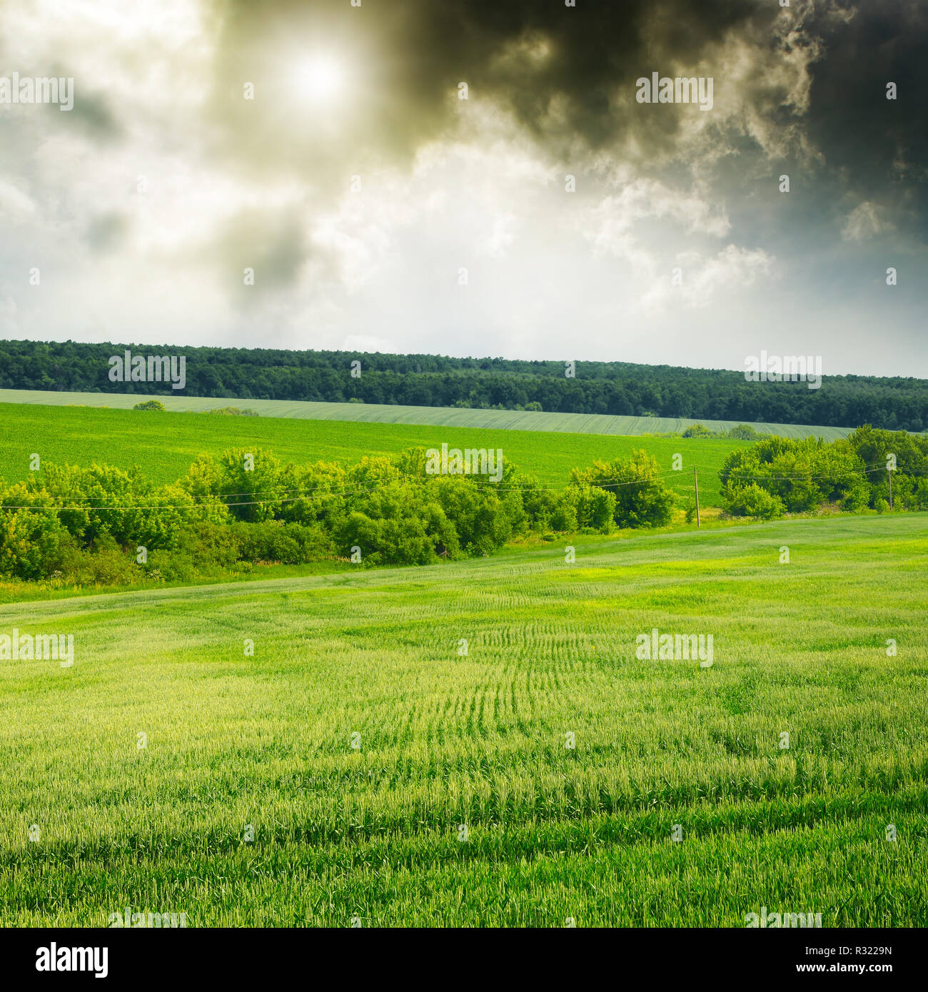 Storm over wheat field hi-res stock photography and images - Alamy