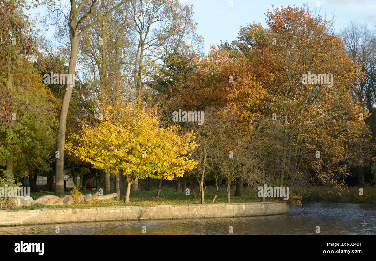 Autumn in Highfields Park, Nottingham, England Stock Photo - Alamy