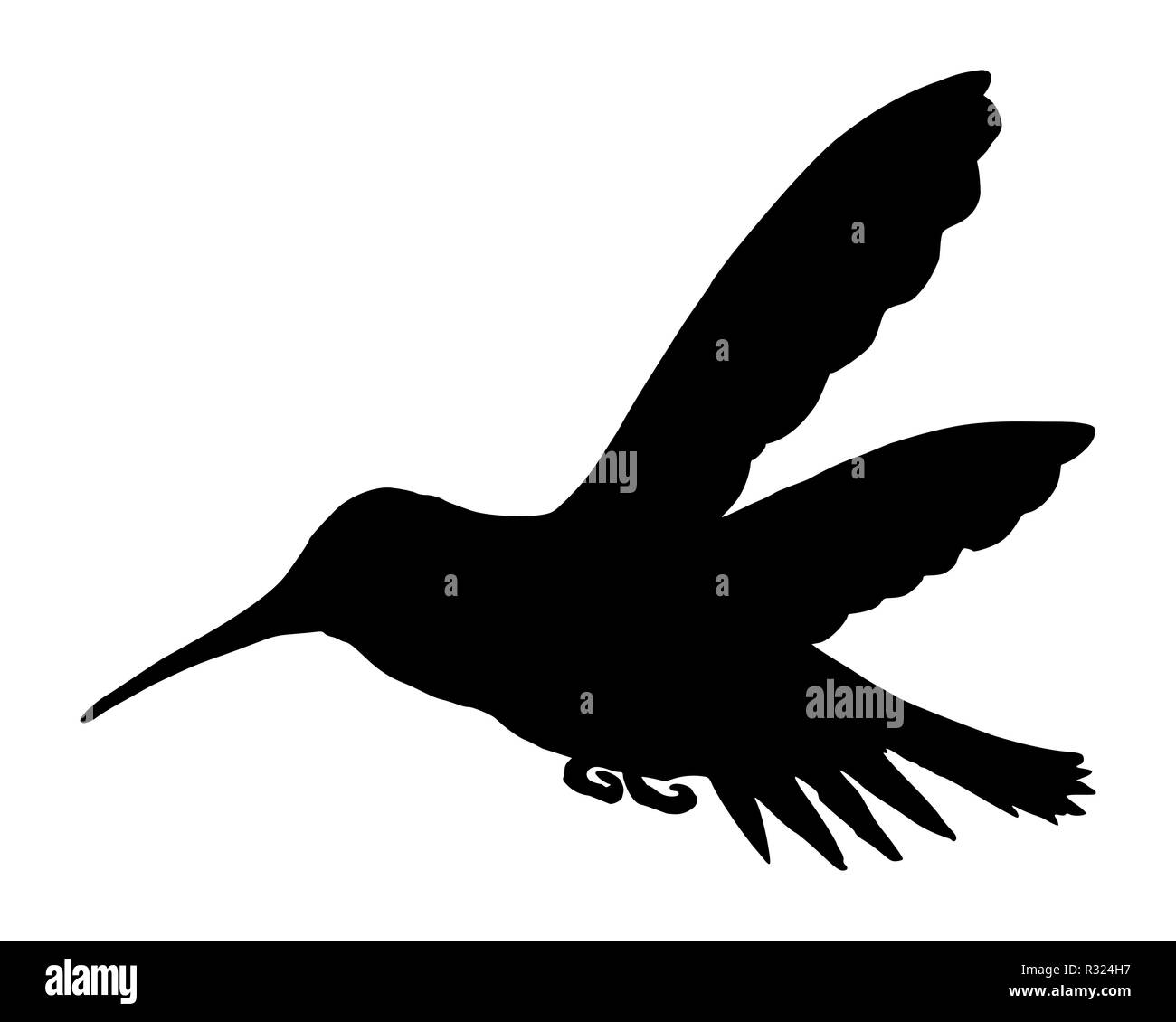 Humming bird silhouette Cut Out Stock Images & Pictures - Alamy