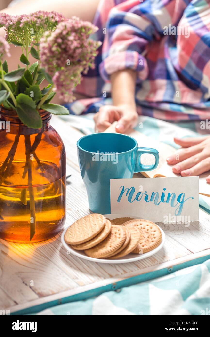 background - beautiful cozy morning and girl reading book Stock Photo ...