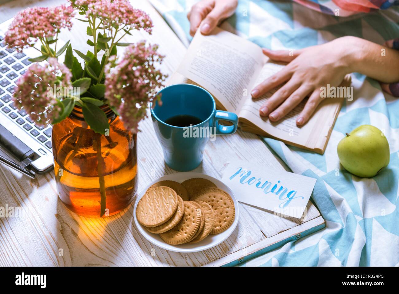 background - beautiful cozy morning and girl reading book Stock Photo ...