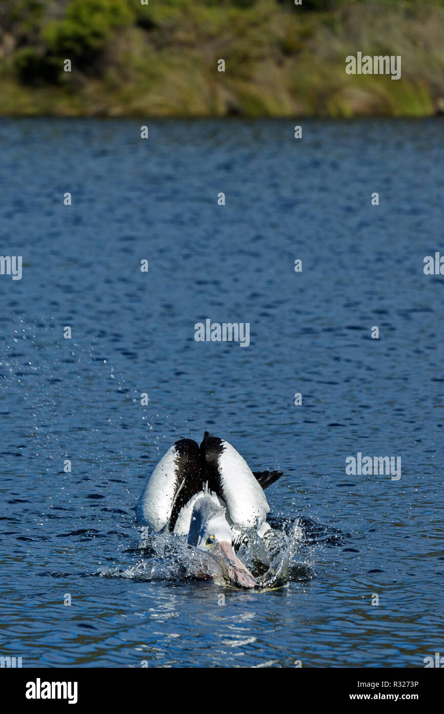 Spalshing hi-res stock photography and images - Alamy