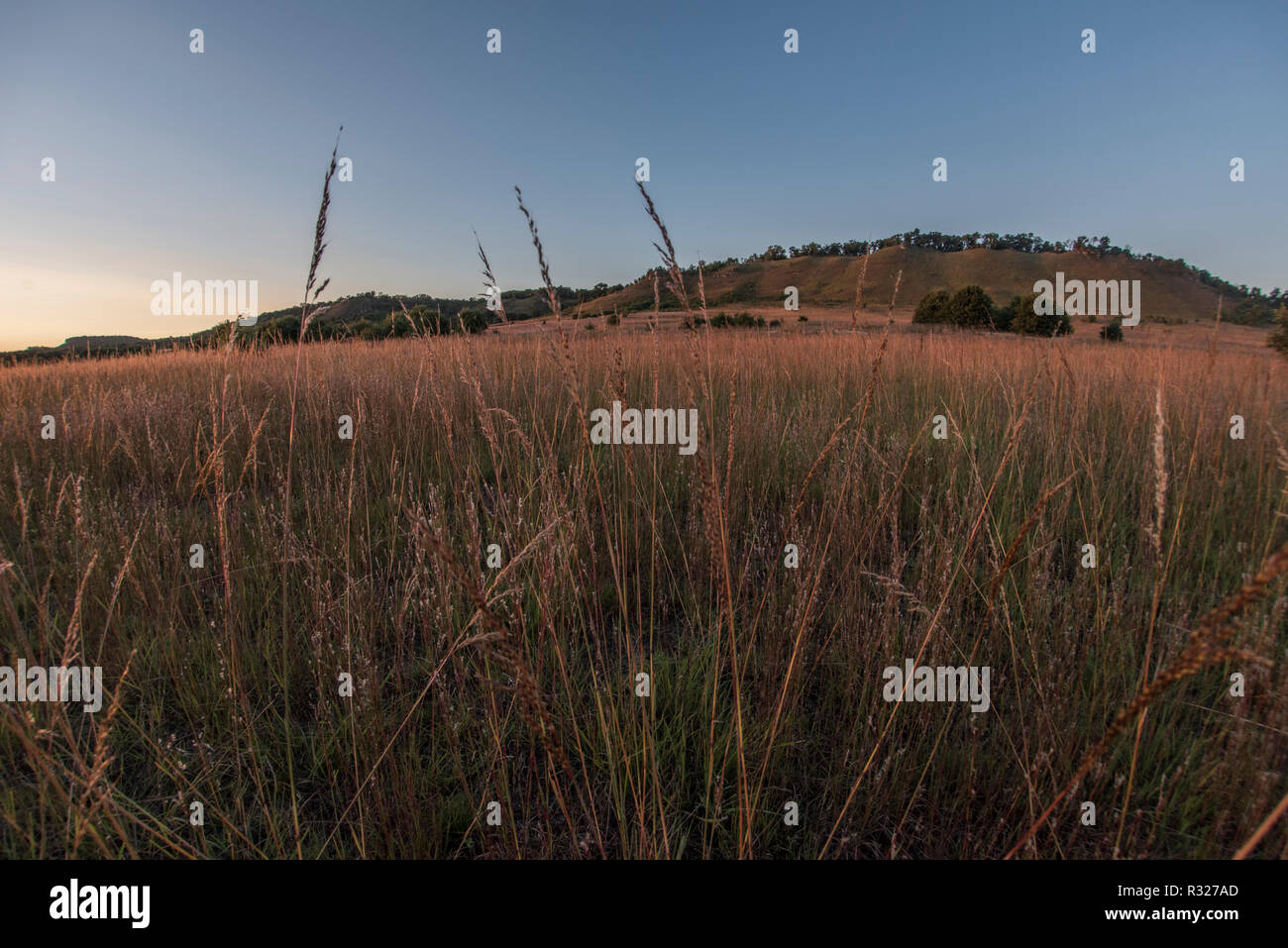 Spring green preserve in Southwestern Wisconsin is home to many state ...