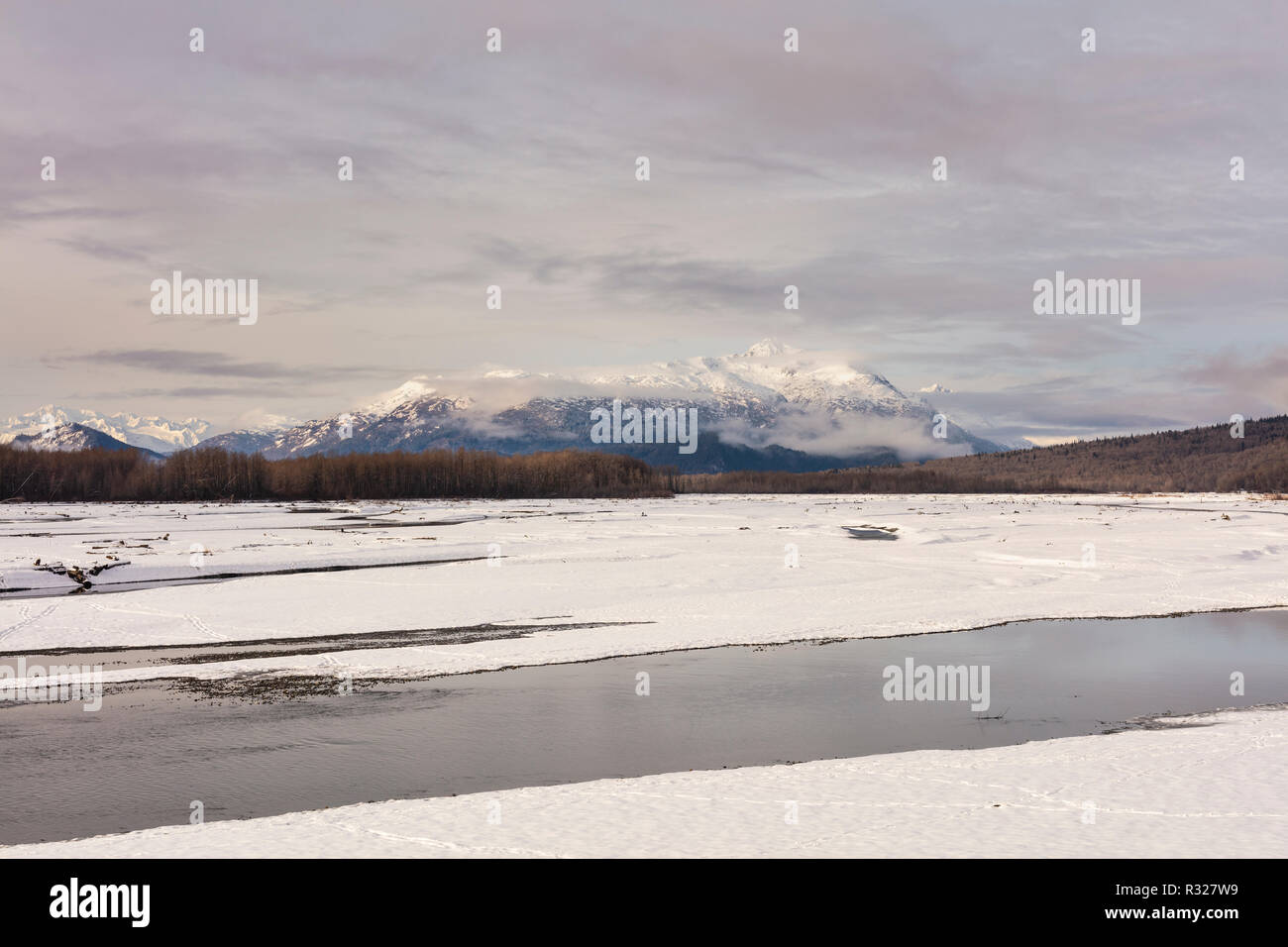 Alaska Chilkat Bald Eagle Preserve High Resolution Stock Photography ...