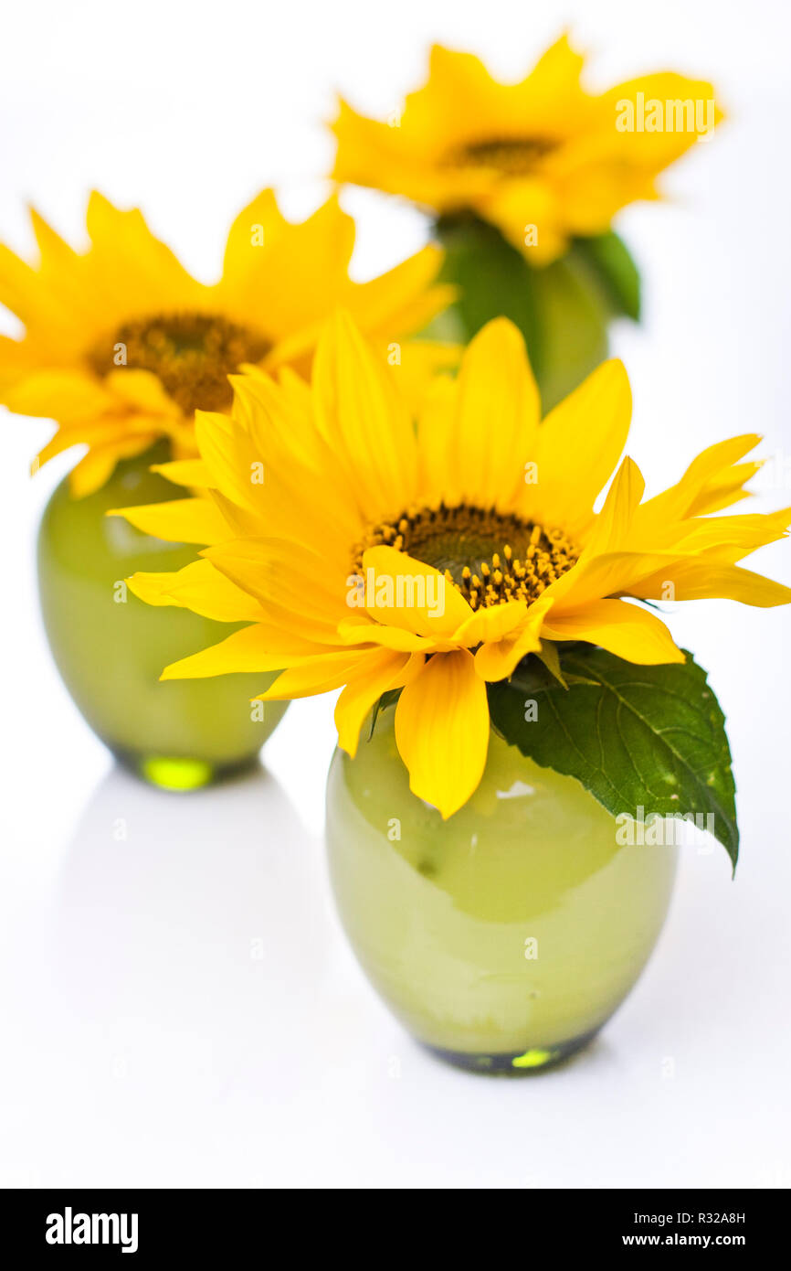 Three vases of flowers hi-res stock photography and images - Alamy