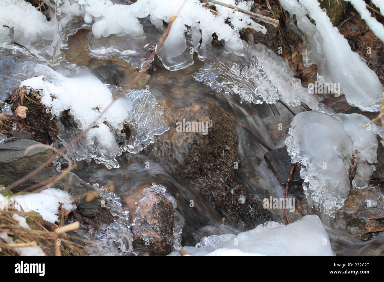 Spring comes hi-res stock photography and images - Alamy