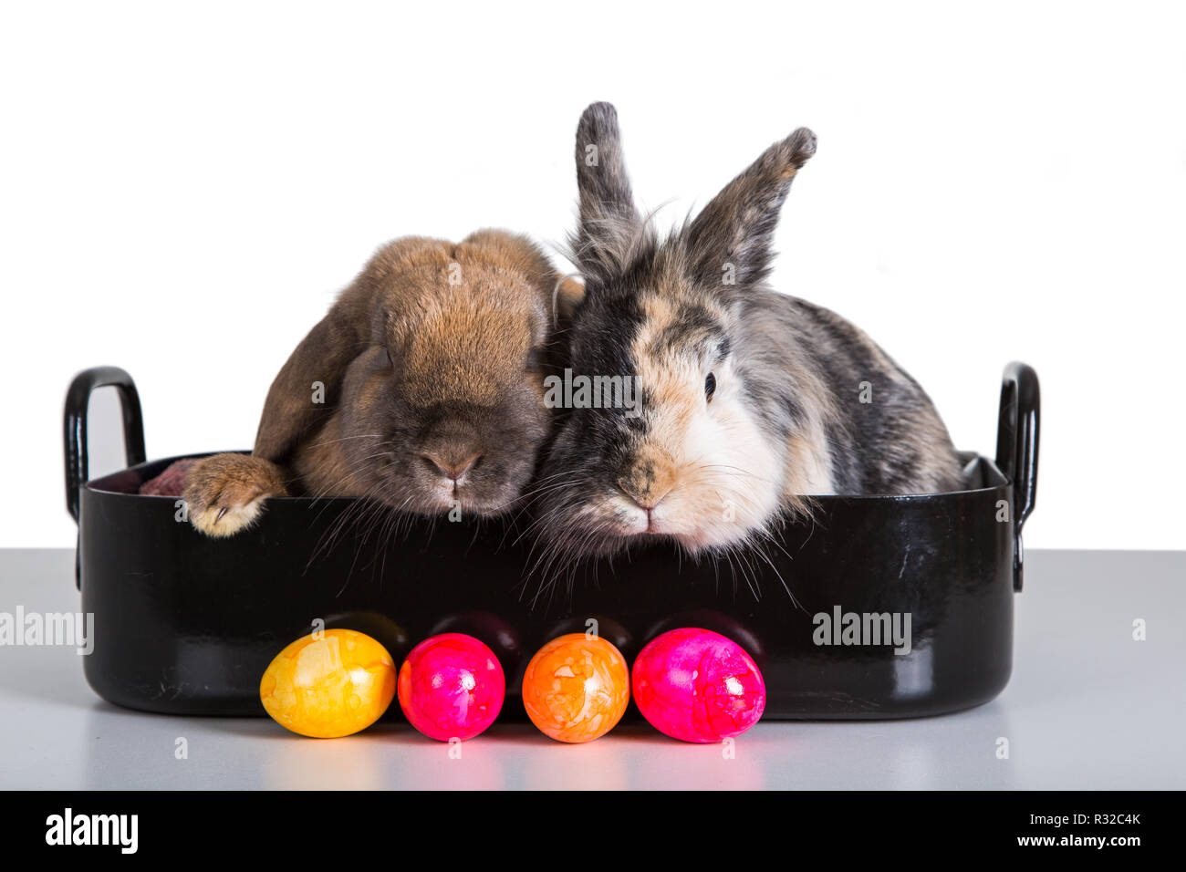 Hare pan hi-res stock photography and images - Alamy
