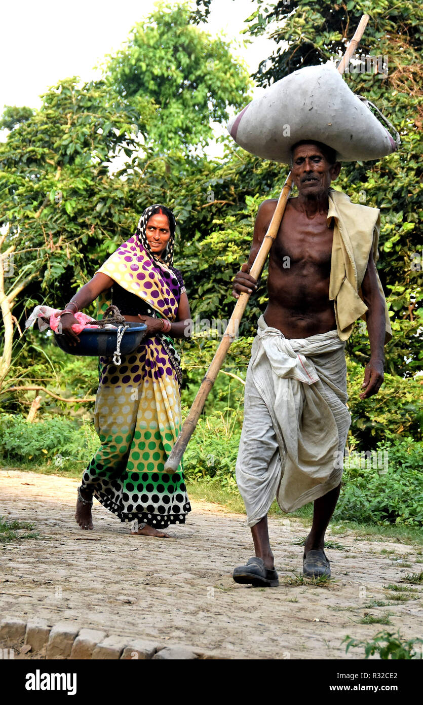 Returning from working in the field followed by sari clad lady helpers ...