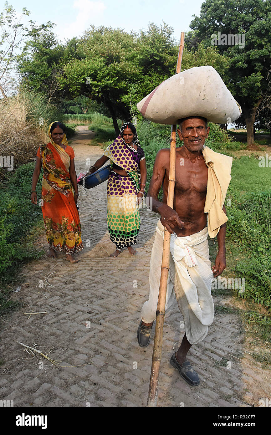 Returning from working in the field followed by sari clad lady helpers ...