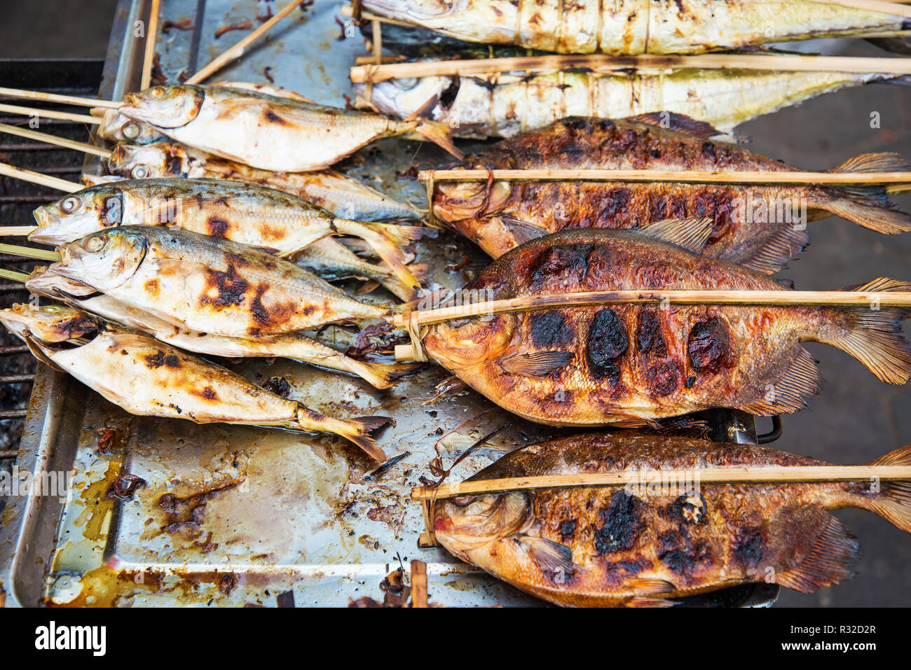 Fry fish trade tropical fish hi-res stock photography and images - Alamy