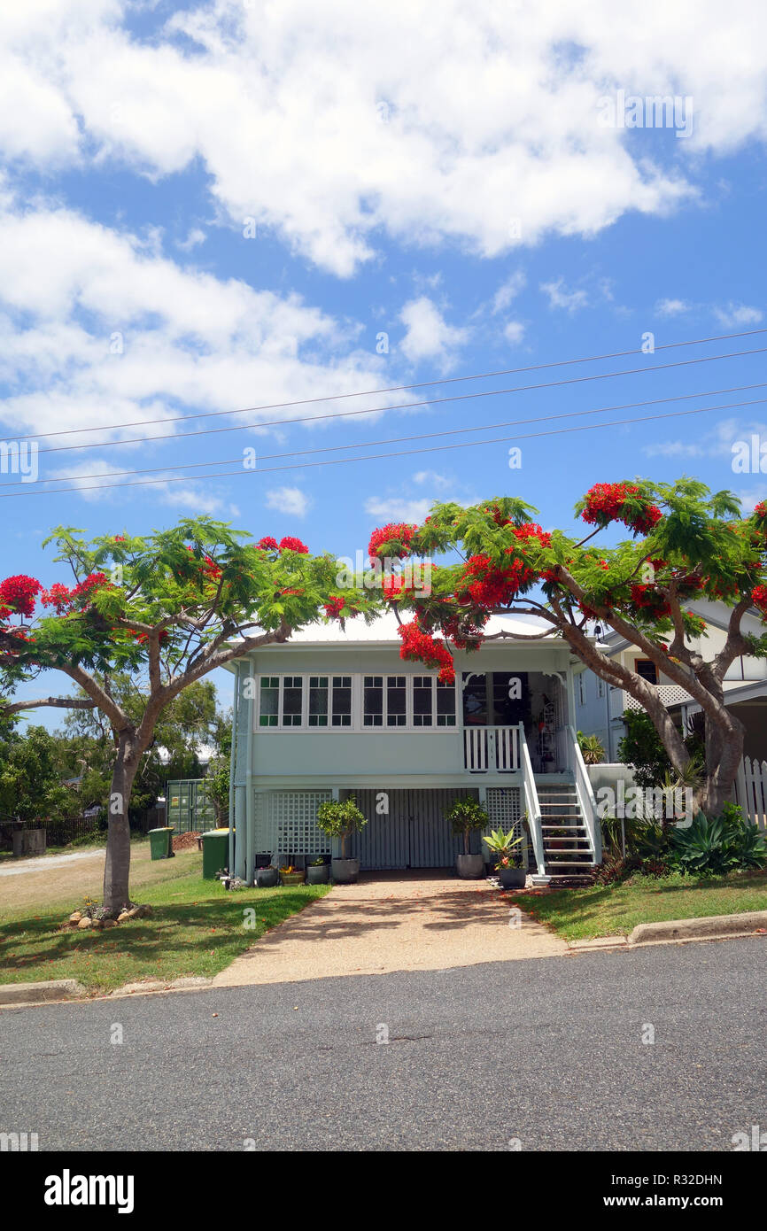 Traditional Queenslander-style house on hillslope with flowering trees ...