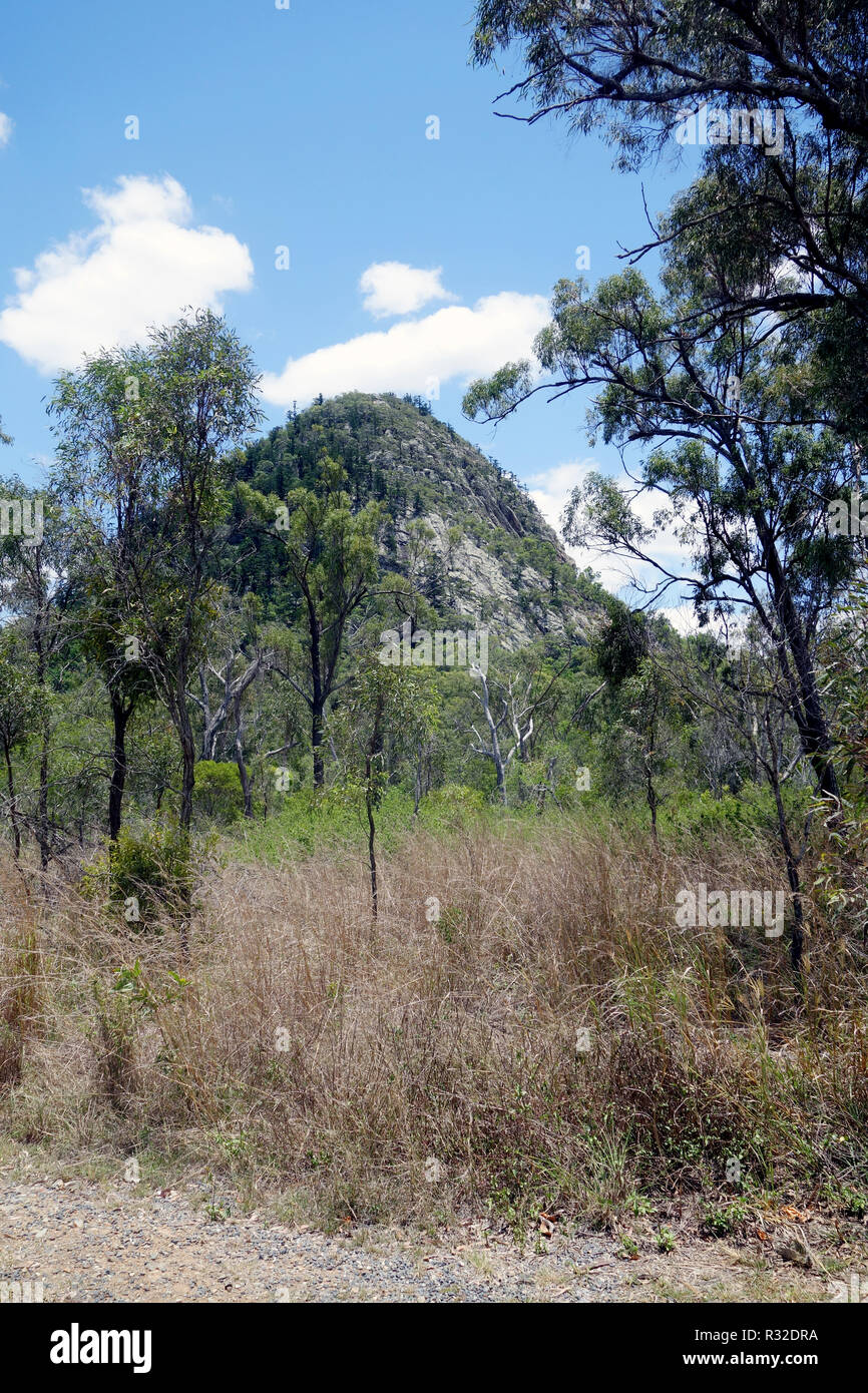 Gawula (Mt Wheeler), an important meeting place for Darumbal Indigenous ...