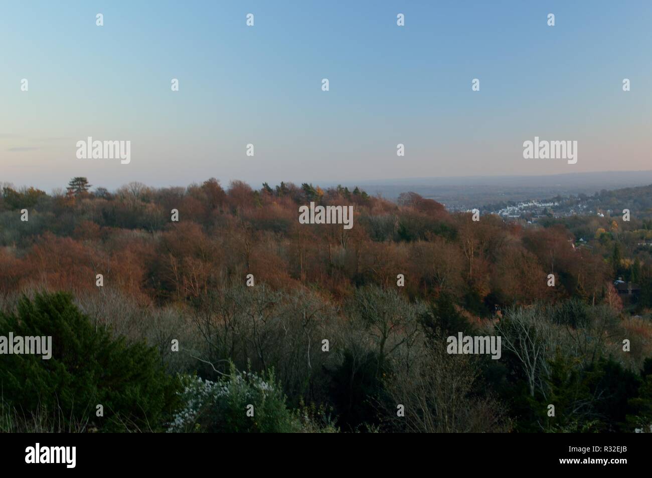 National trust reigate hi-res stock photography and images - Alamy