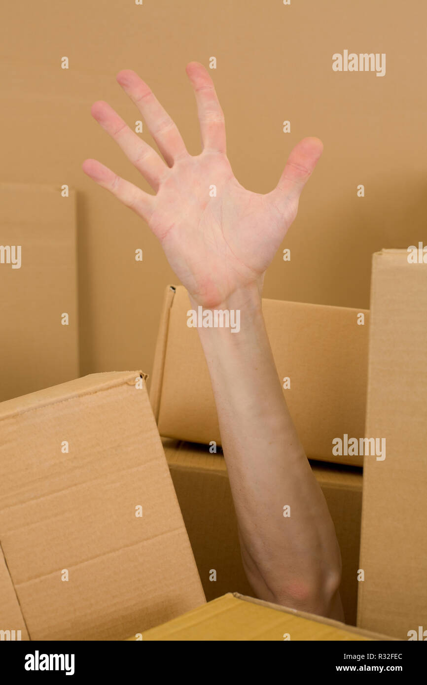 Abatis hi-res stock photography and images - Alamy