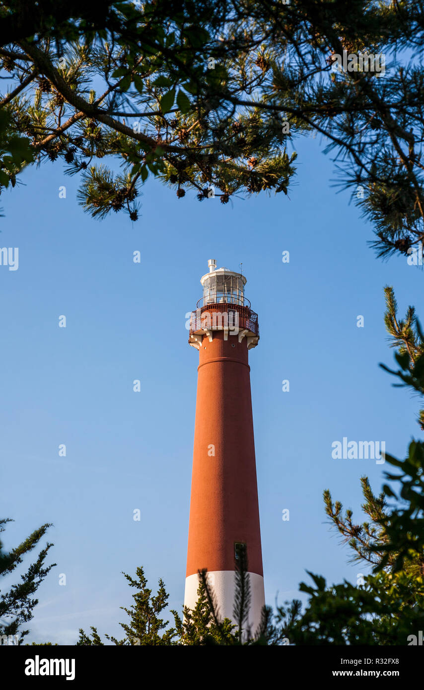 Barnegat Beach High Resolution Stock Photography and Images - Alamy