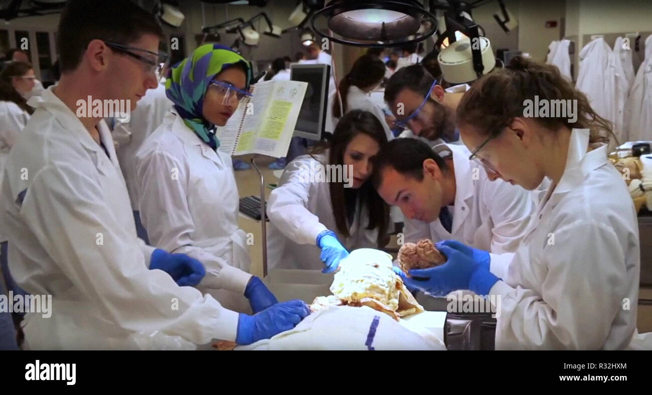 THE FIRST PATIENT, 2018. © The Duncan Entertainment Group /Courtesy ...