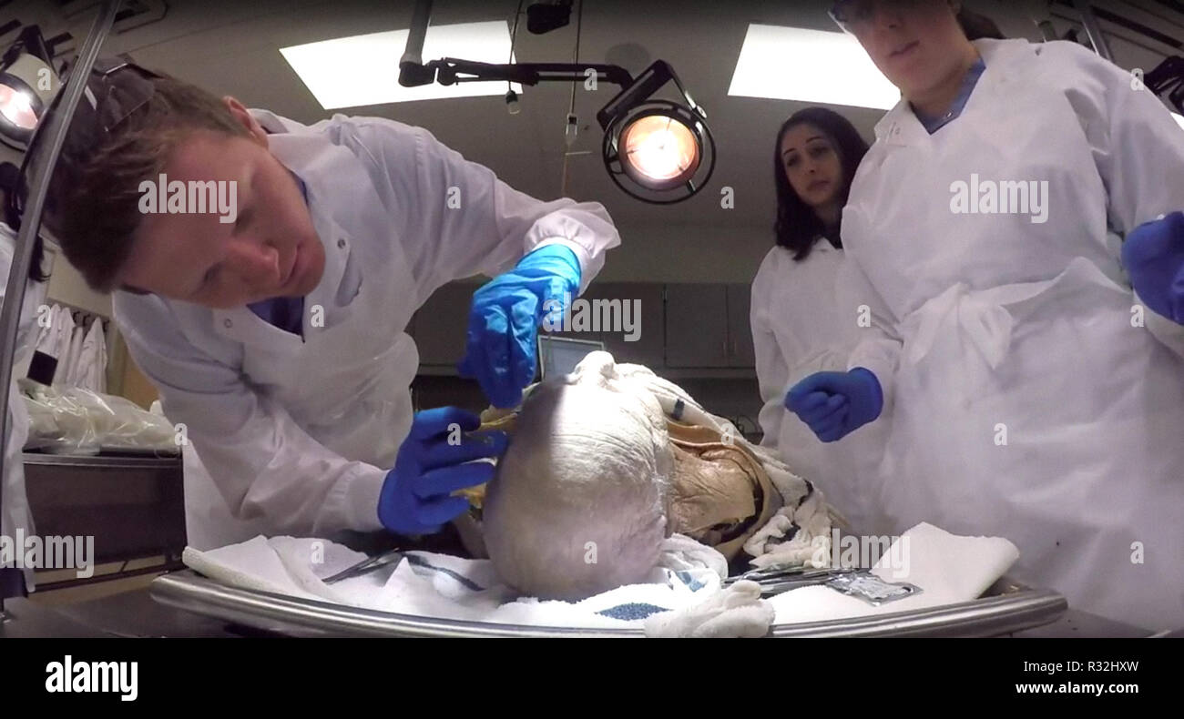 THE FIRST PATIENT, Simrit Warring, 2018. © The Duncan Entertainment ...