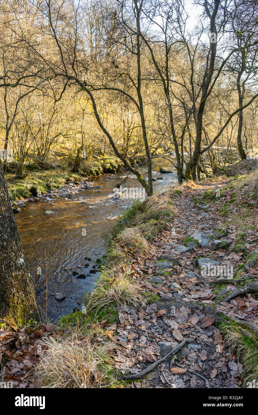 The river Afon Mellte in the Fforest Fawr Geopark in the Brecon Beacons ...