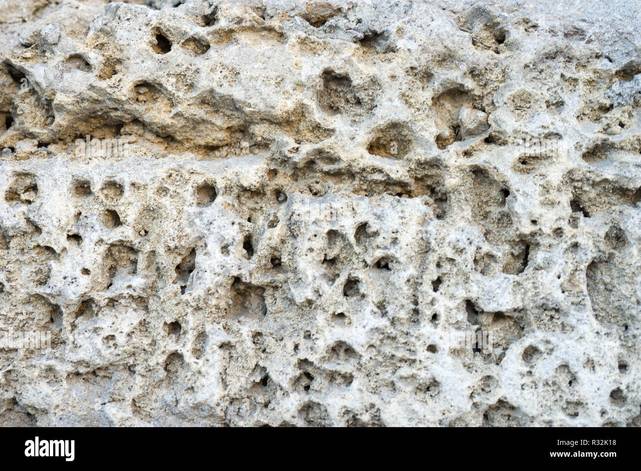 Light background of natural stone-shell rock. For design and networking ...