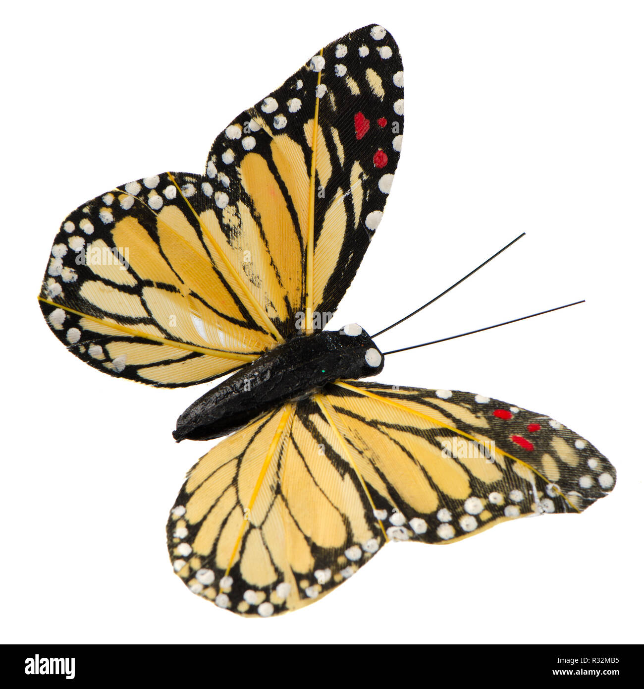 Attractive to flies Cut Out Stock Images & Pictures - Alamy