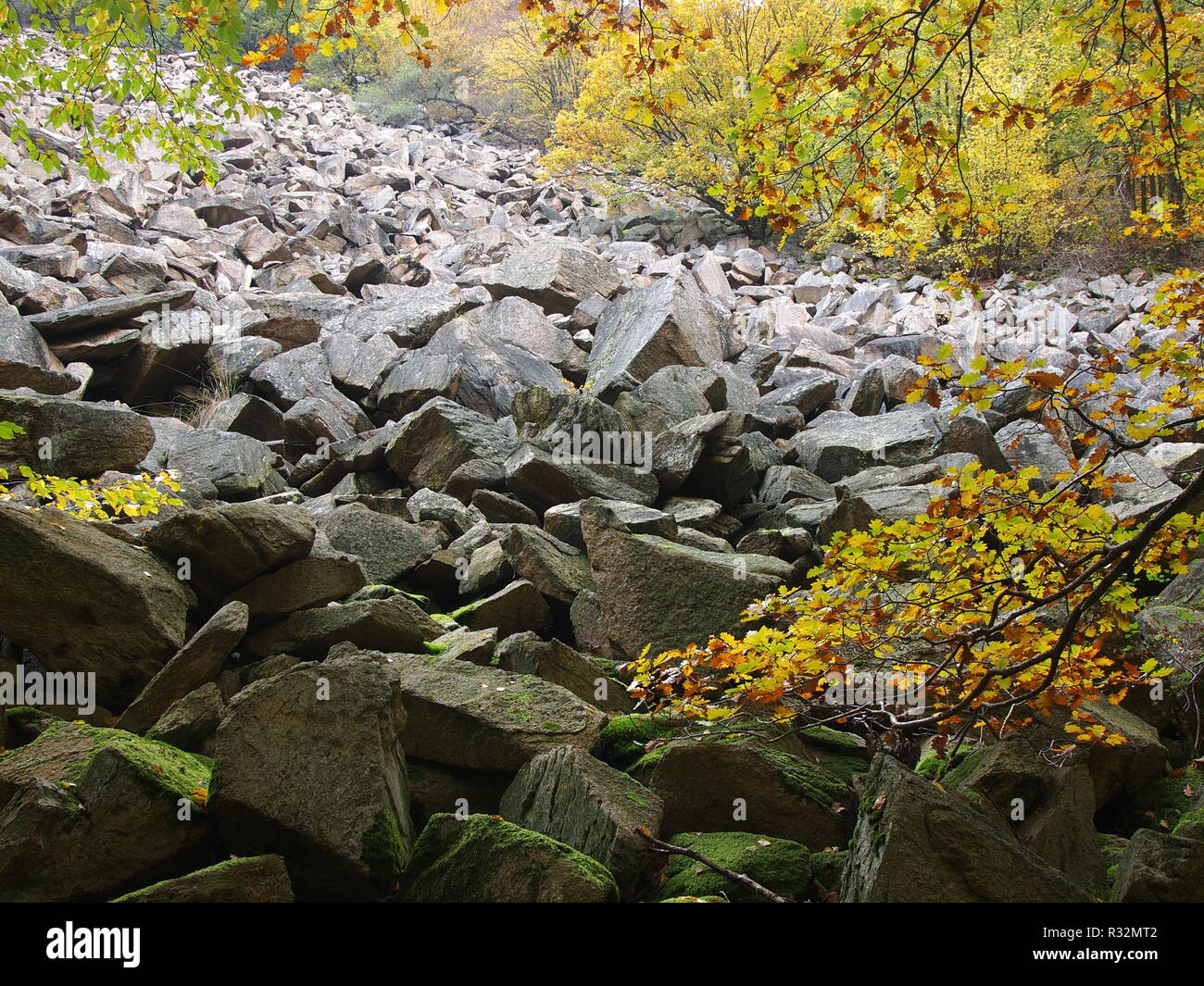 Thaya valley national park hi-res stock photography and images - Alamy