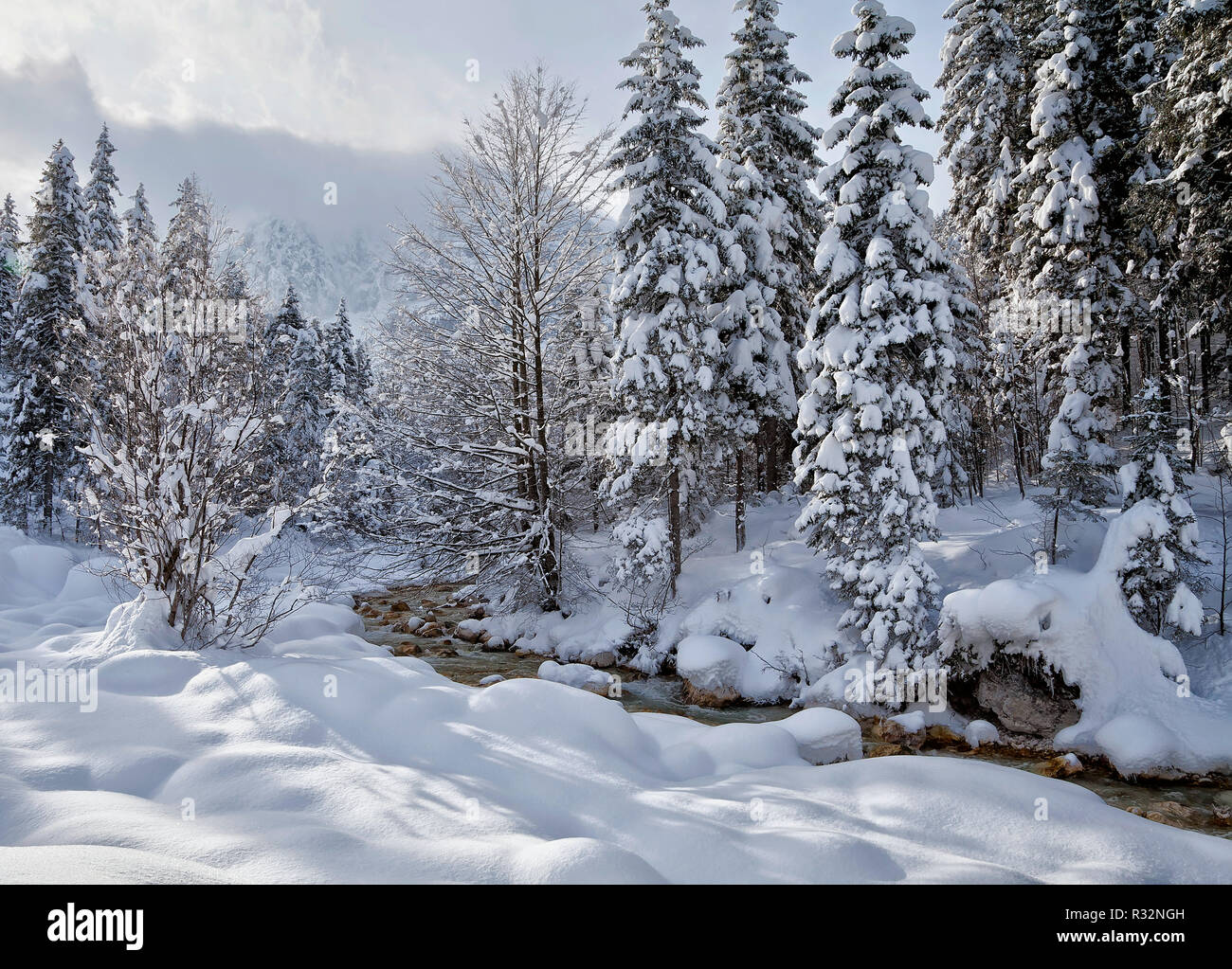 winter in triglav - national park Stock Photo - Alamy