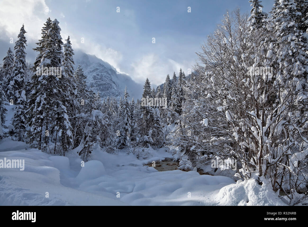 winter in triglav - national park Stock Photo - Alamy