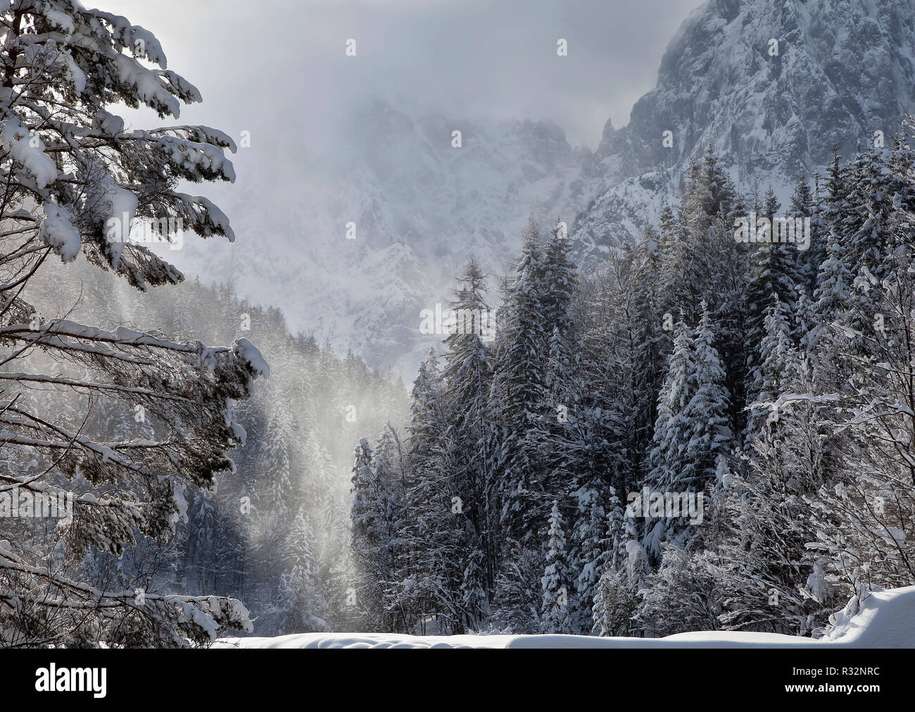 winter in triglav - national park Stock Photo - Alamy