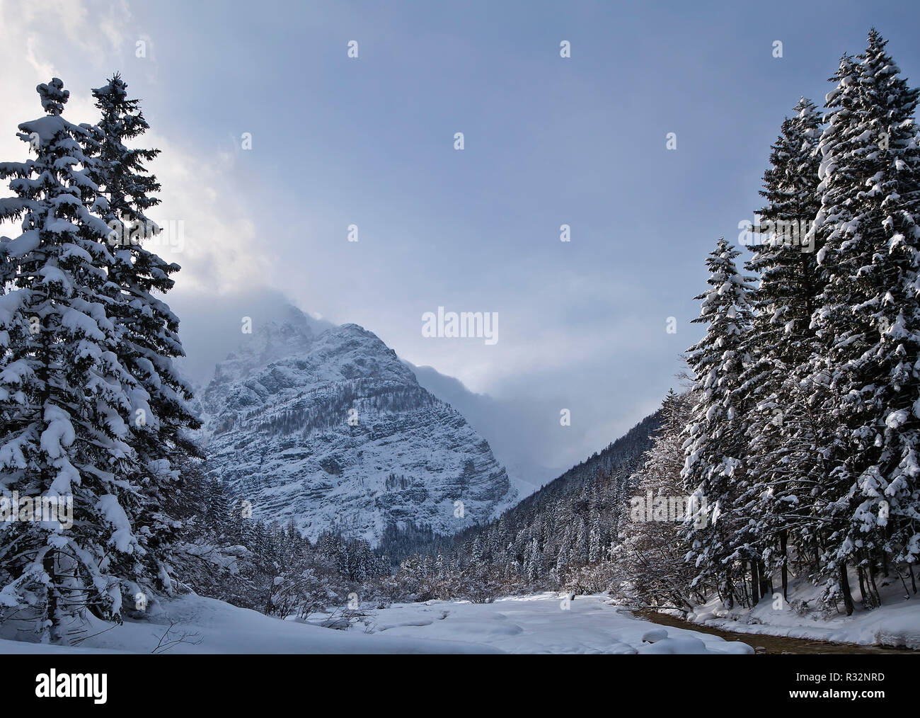 winter in triglav - national park Stock Photo - Alamy