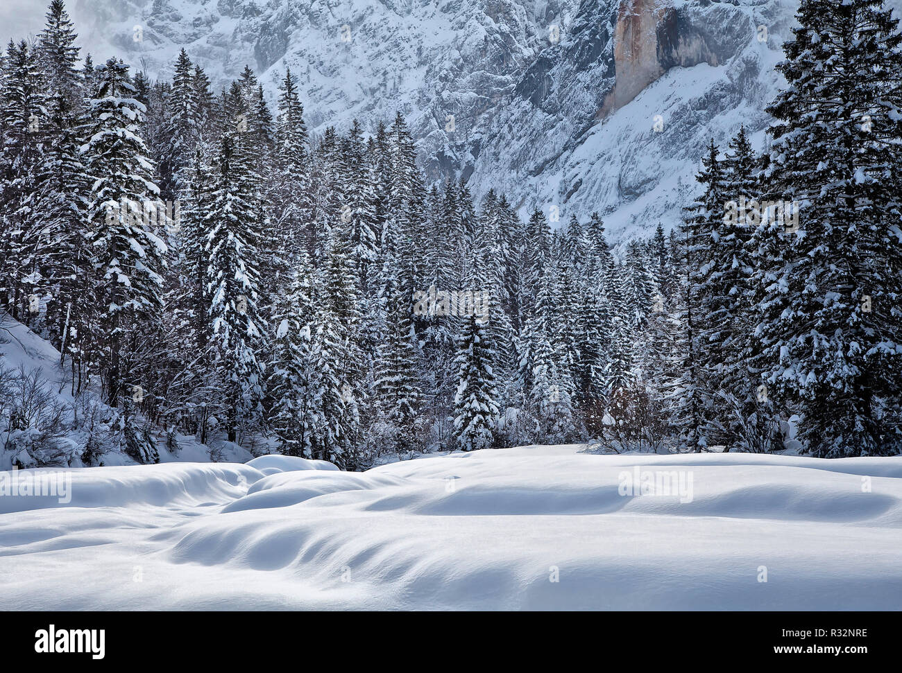 winter in triglav - national park Stock Photo - Alamy
