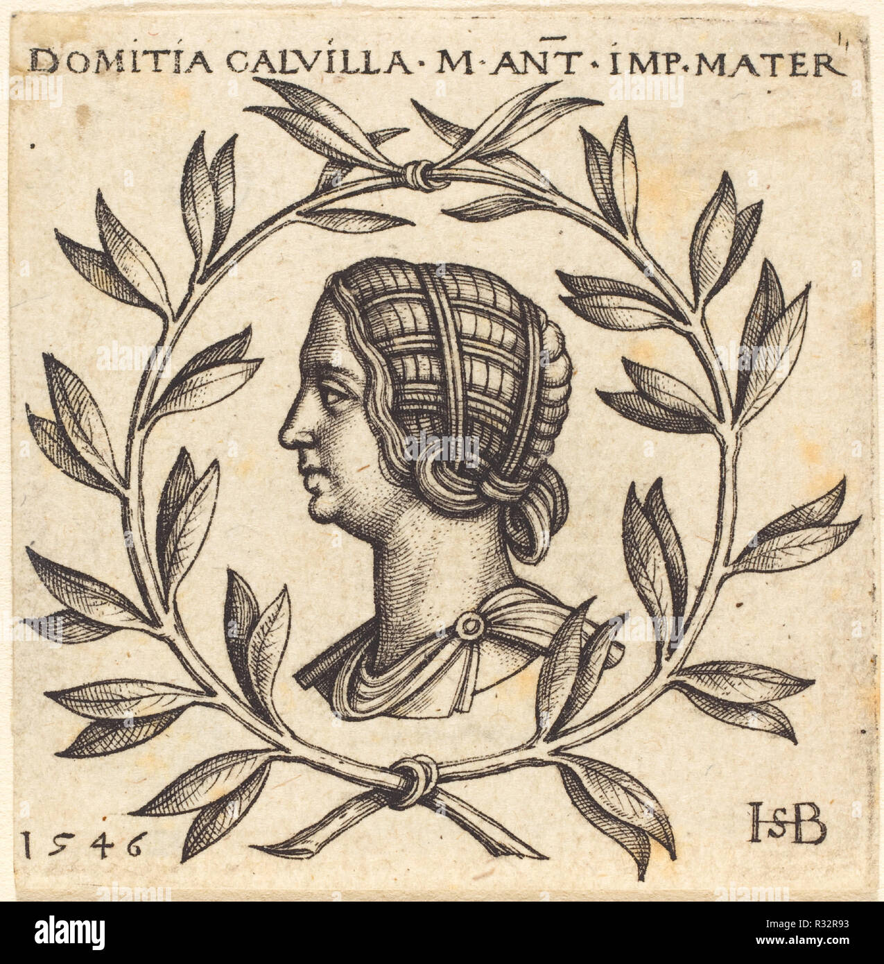 Domitia calvilla hi-res stock photography and images - Alamy