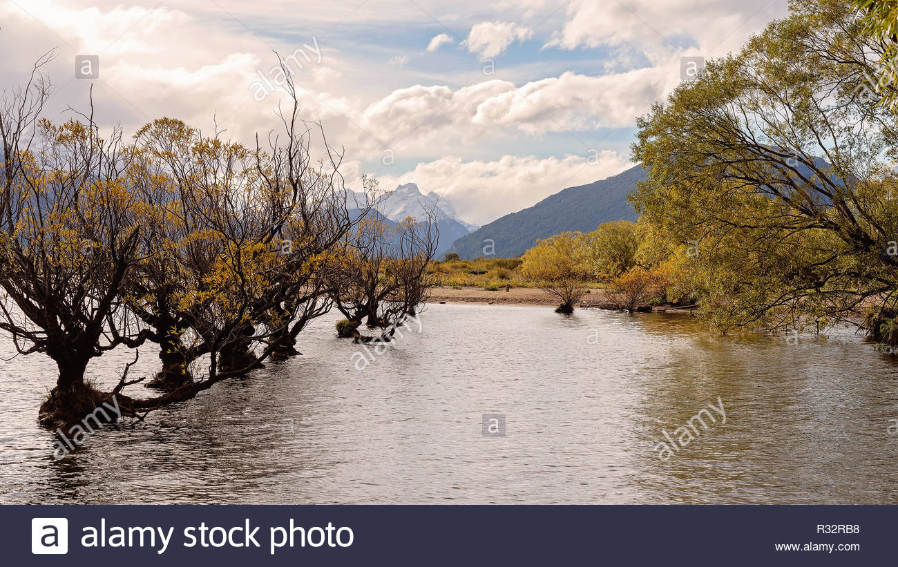 Spindly Plant Stock Photos & Spindly Plant Stock Images - Alamy