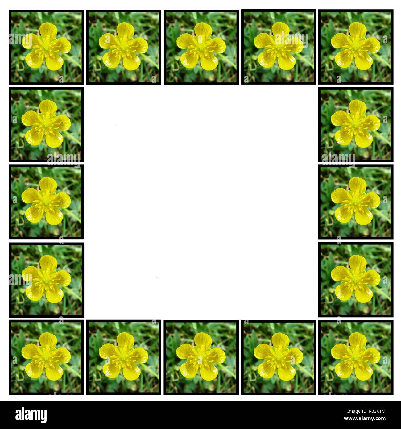 Buttercups backdrop hi-res stock photography and images - Alamy