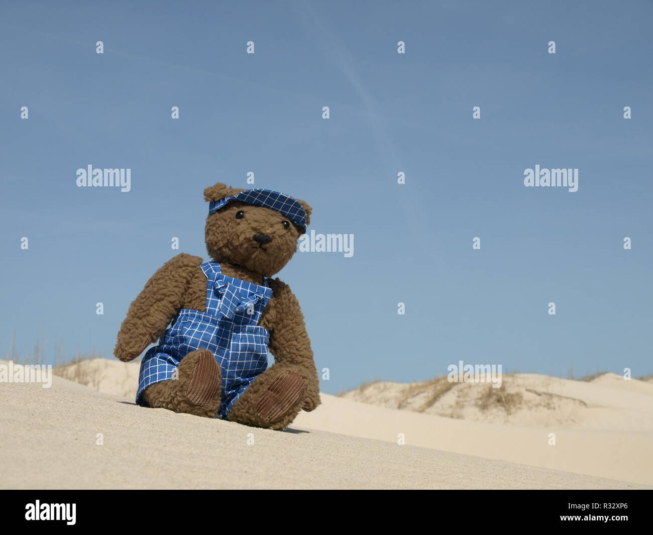 teddy on holiday Stock Photo - Alamy
