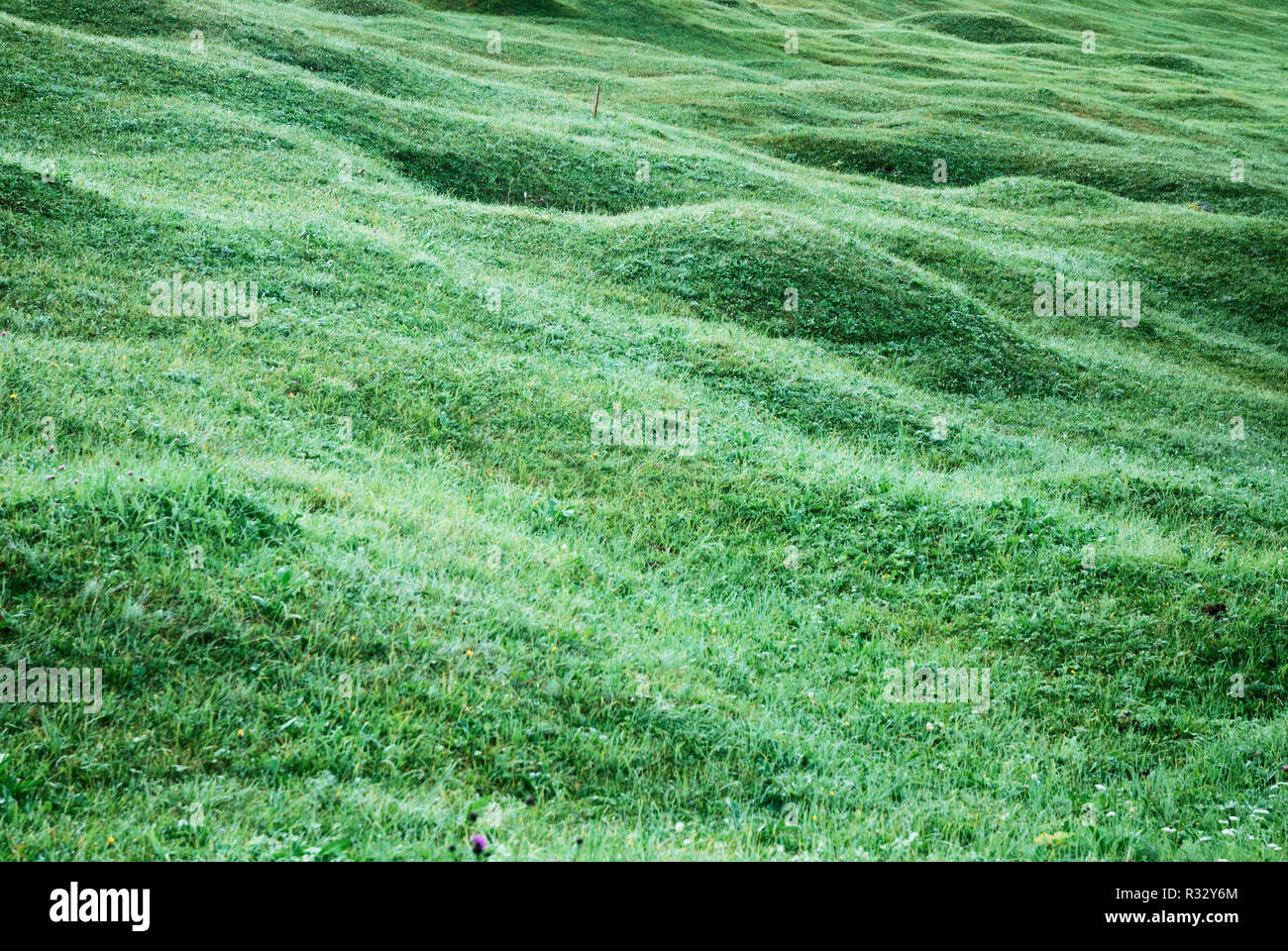 Hummocky hi-res stock photography and images - Alamy