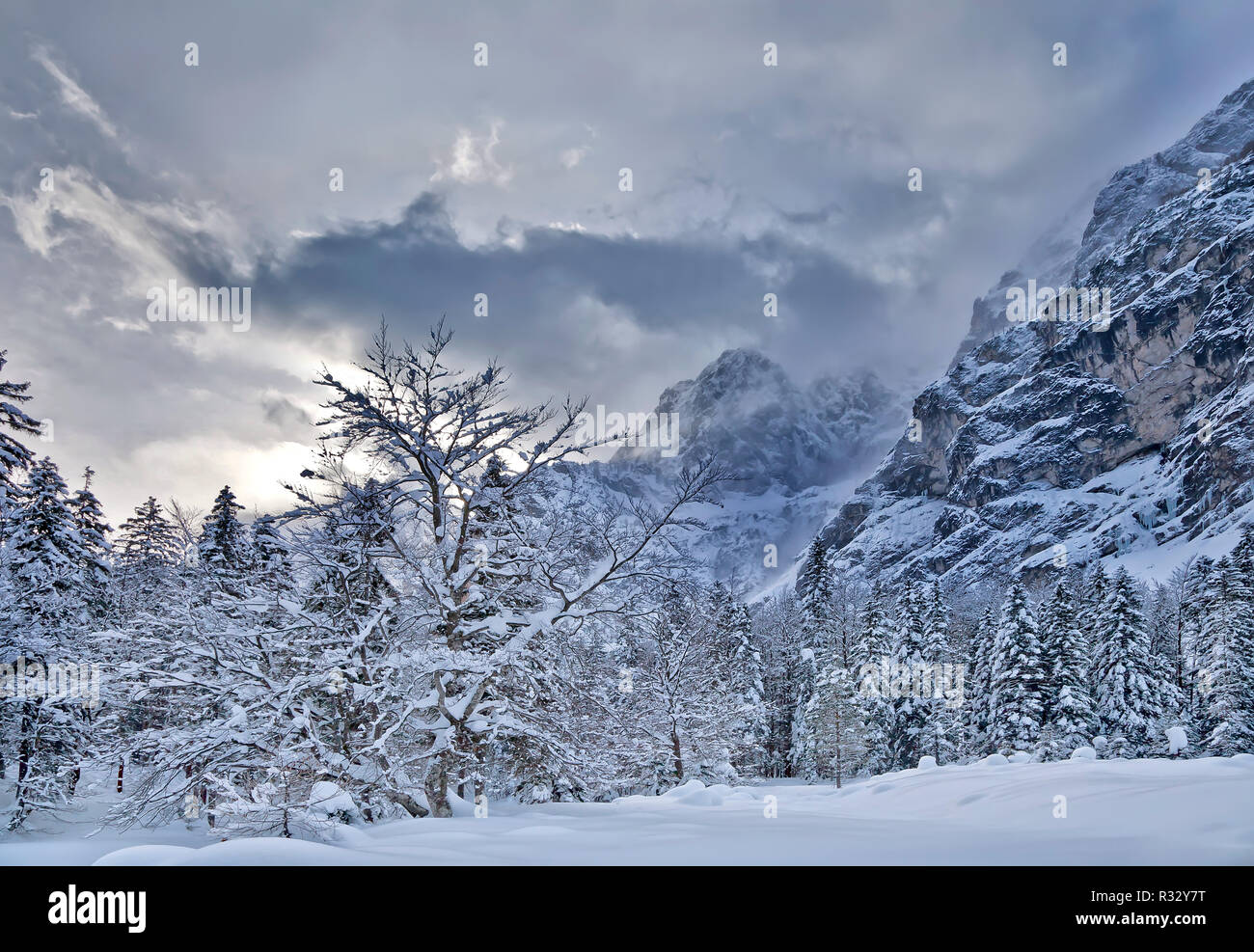 winter in triglav - national park Stock Photo - Alamy