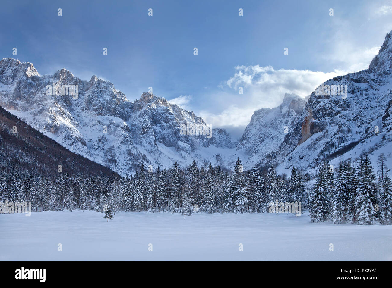 winter in triglav - national park Stock Photo - Alamy