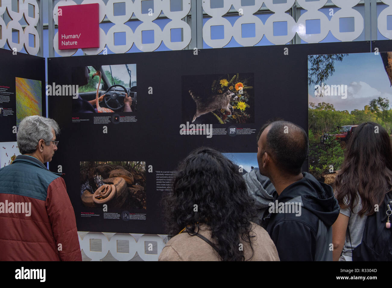 Bigpicture exhibit hi-res stock photography and images - Alamy