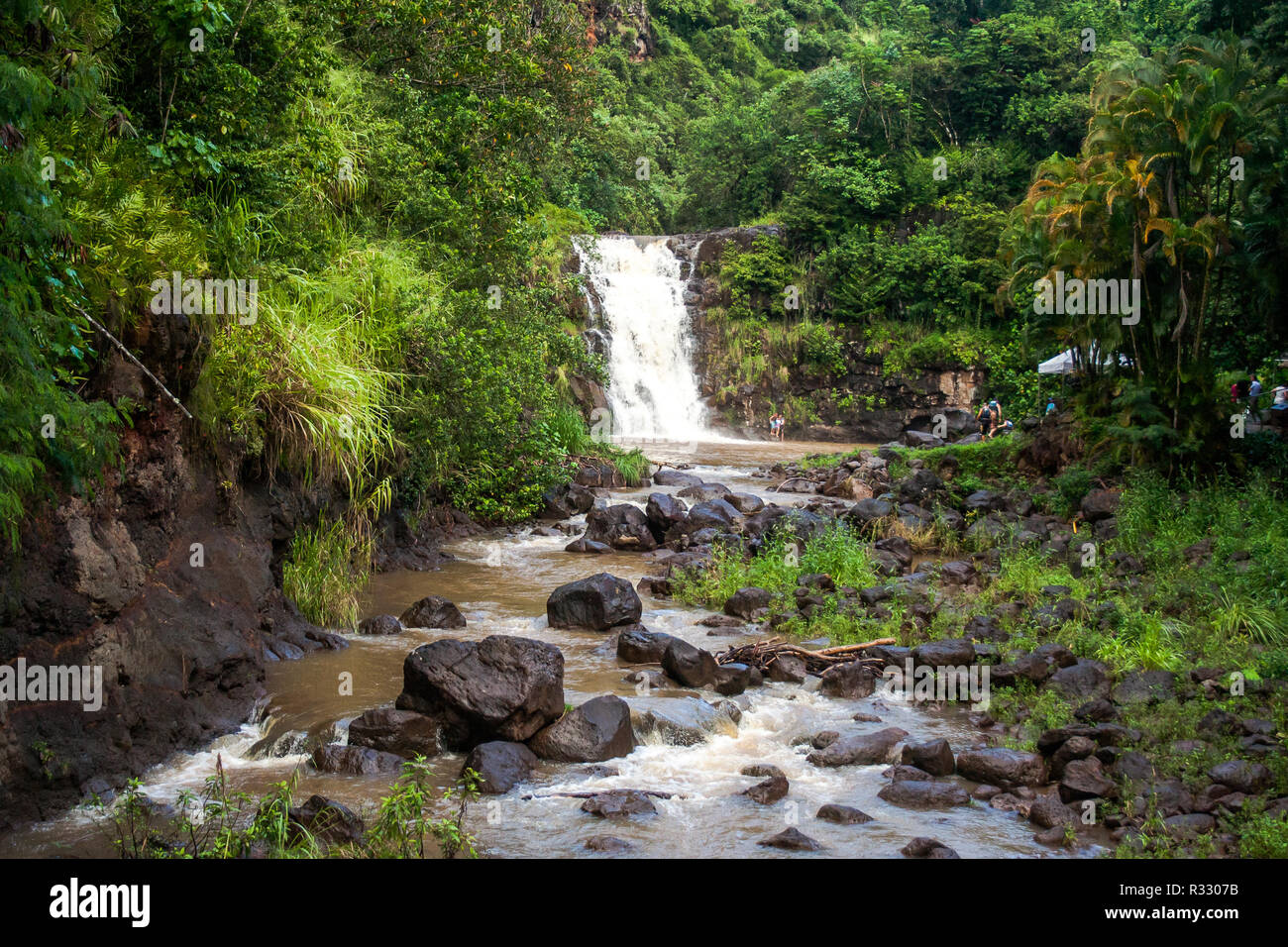 Waimea falls park honolulu hi-res stock photography and images - Alamy
