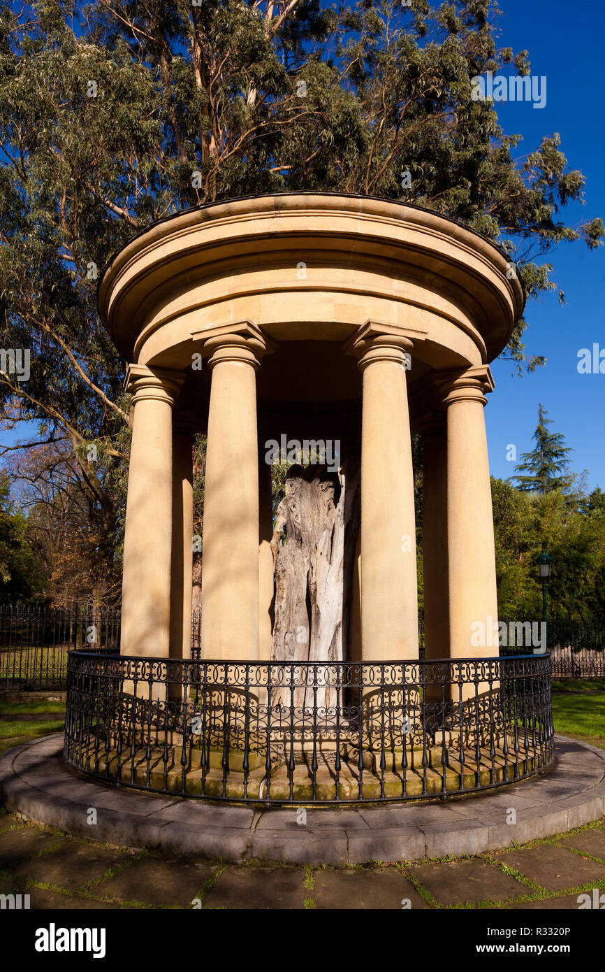 Old Tree Of Gernika High Resolution Stock Photography and Images - Alamy