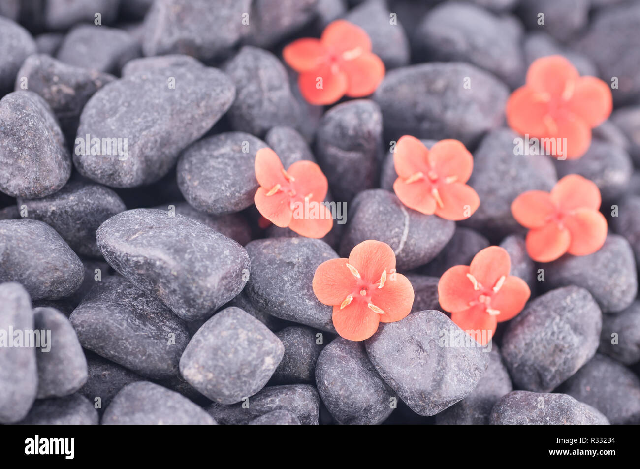 Cluster pebbles hi-res stock photography and images - Alamy