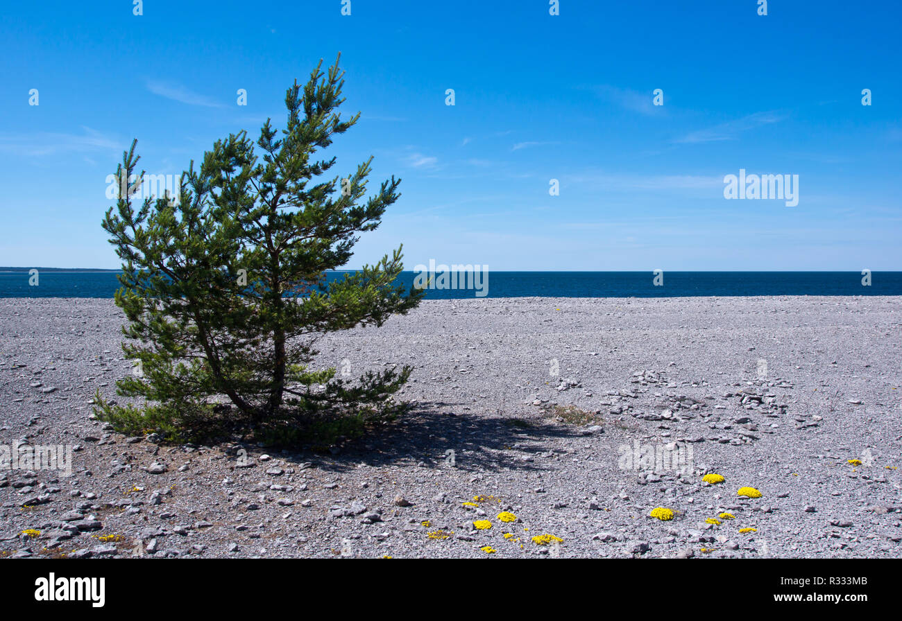 Sweden fa hi-res stock photography and images - Alamy