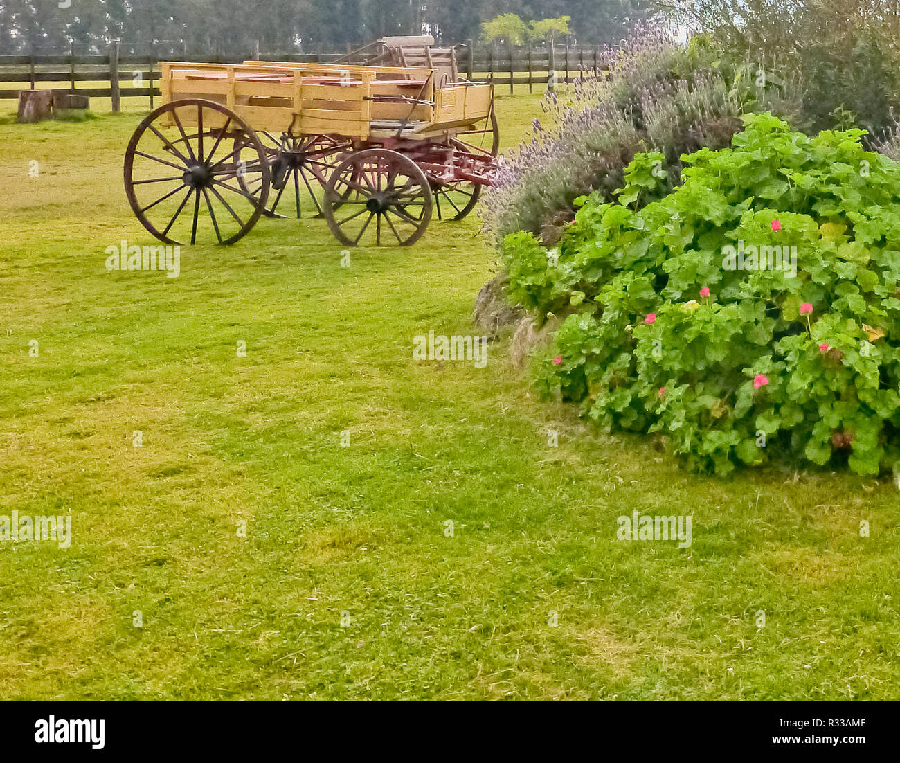 Old Cart in Field Stock Photo - Alamy