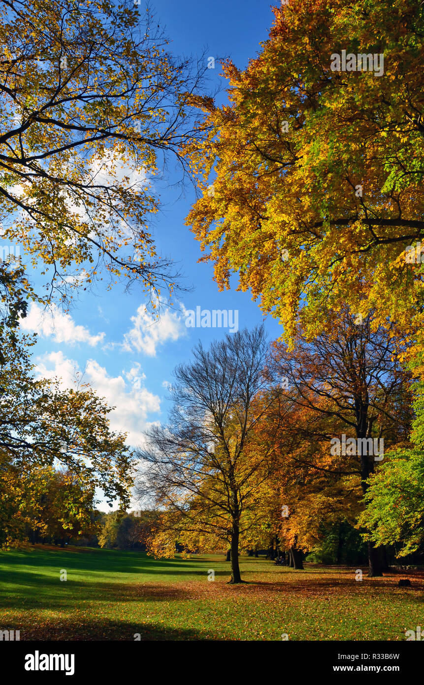 Luminous play of colours hi-res stock photography and images - Alamy