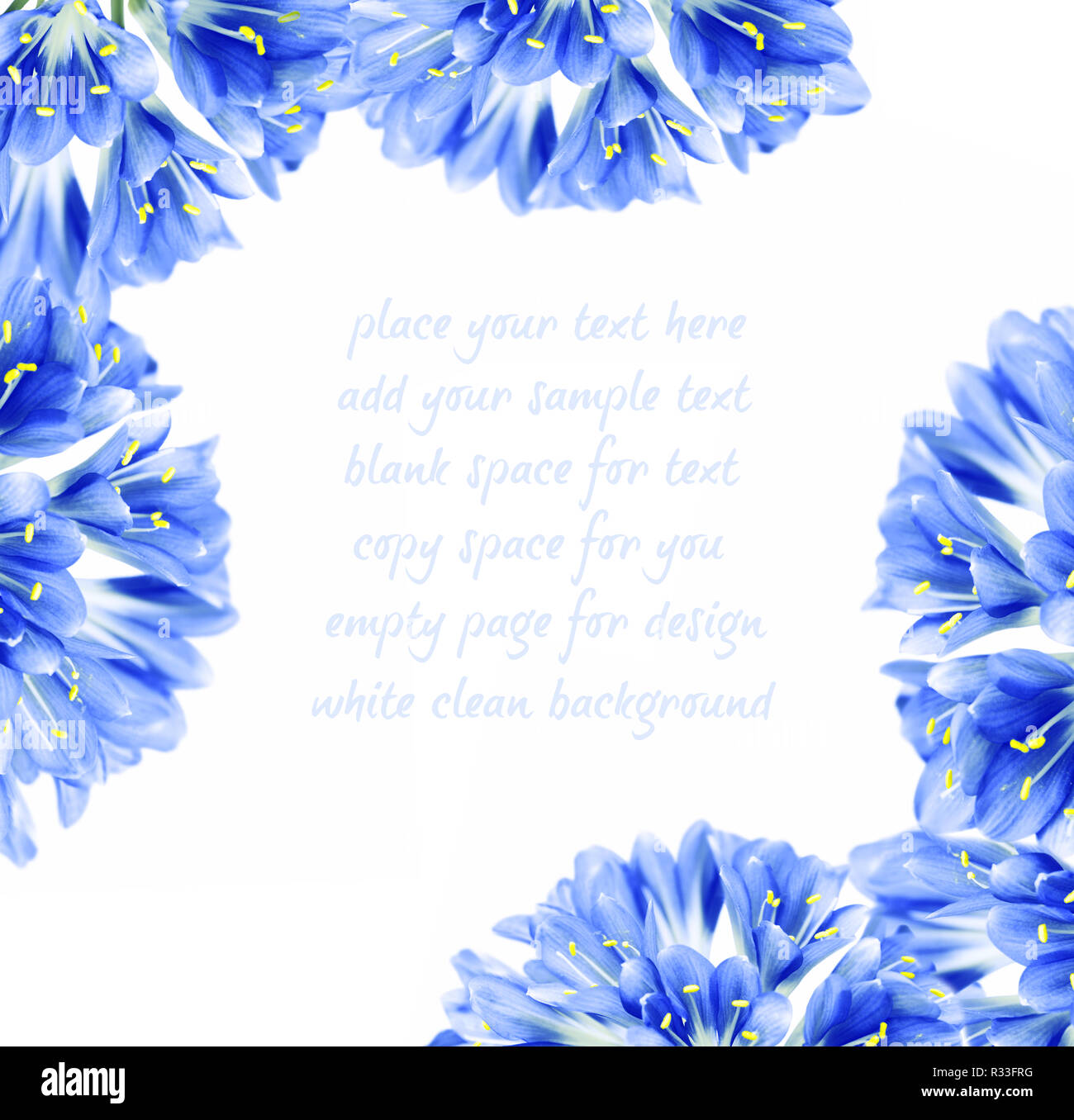 Color floral page design template hi-res stock photography and images ...
