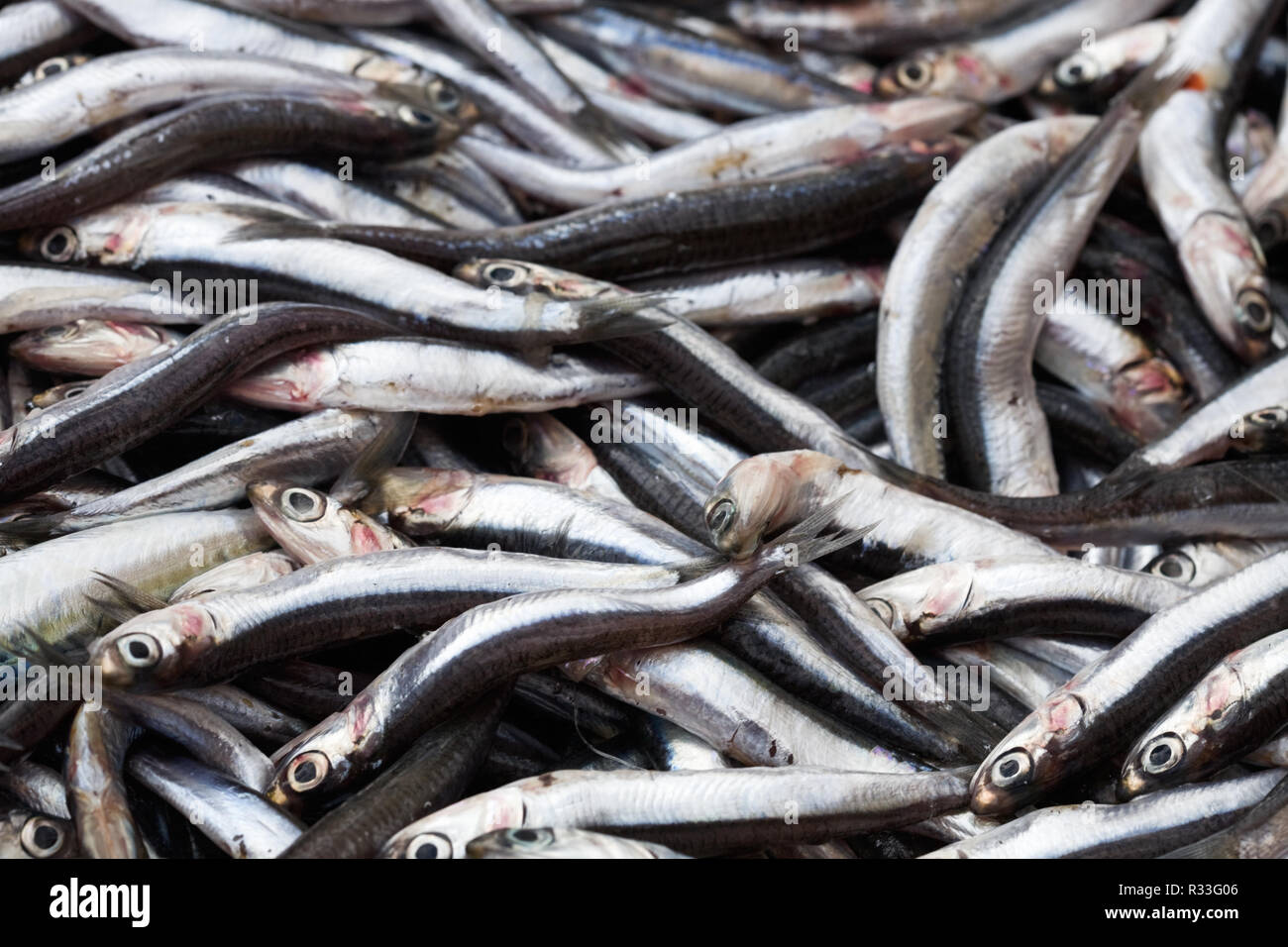 Sardelle hi-res stock photography and images - Alamy