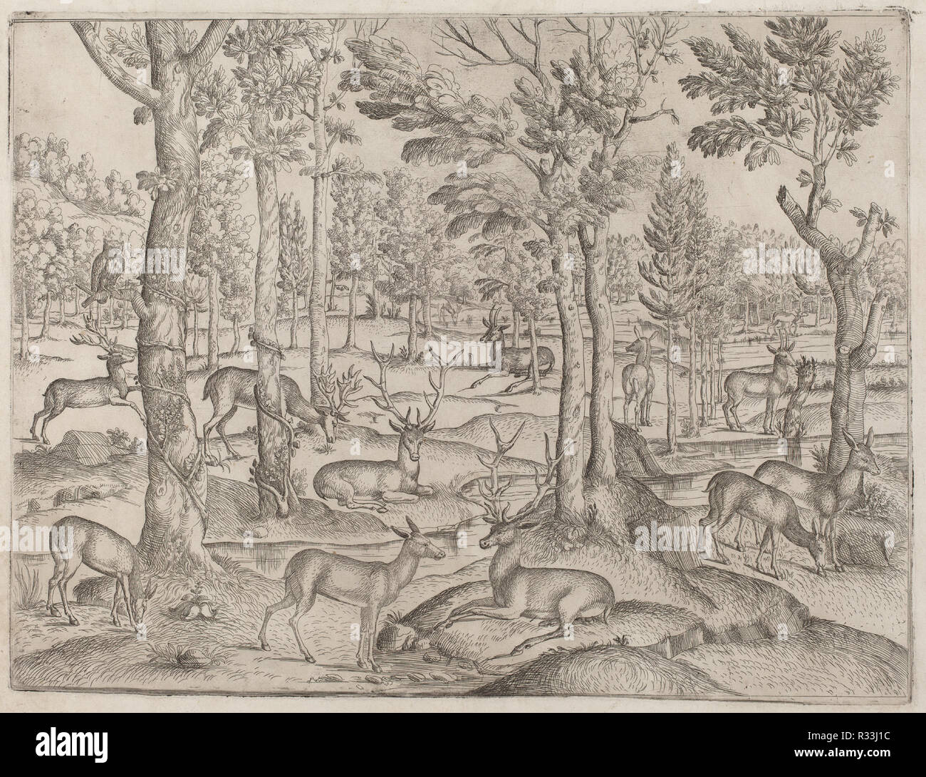 Deer in the Forest. Dated: c. 1520. Medium: etching. Museum: National ...
