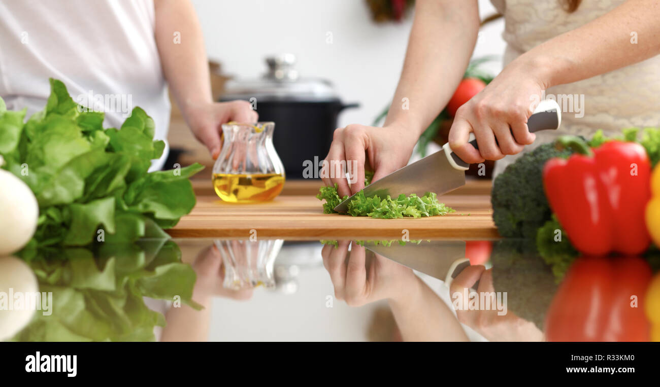 Closeup of human hands cooking in kitchen. Mother and daughter or two ...